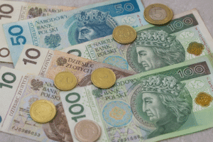 Polish Currency Explained: A Guide to the Zloty