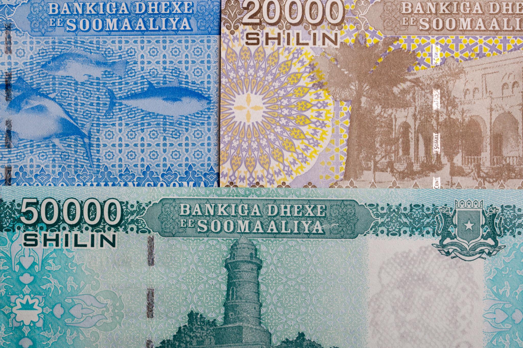 Currency of Somalia: Somali Shilling Coins, Banknotes and Economic Overview